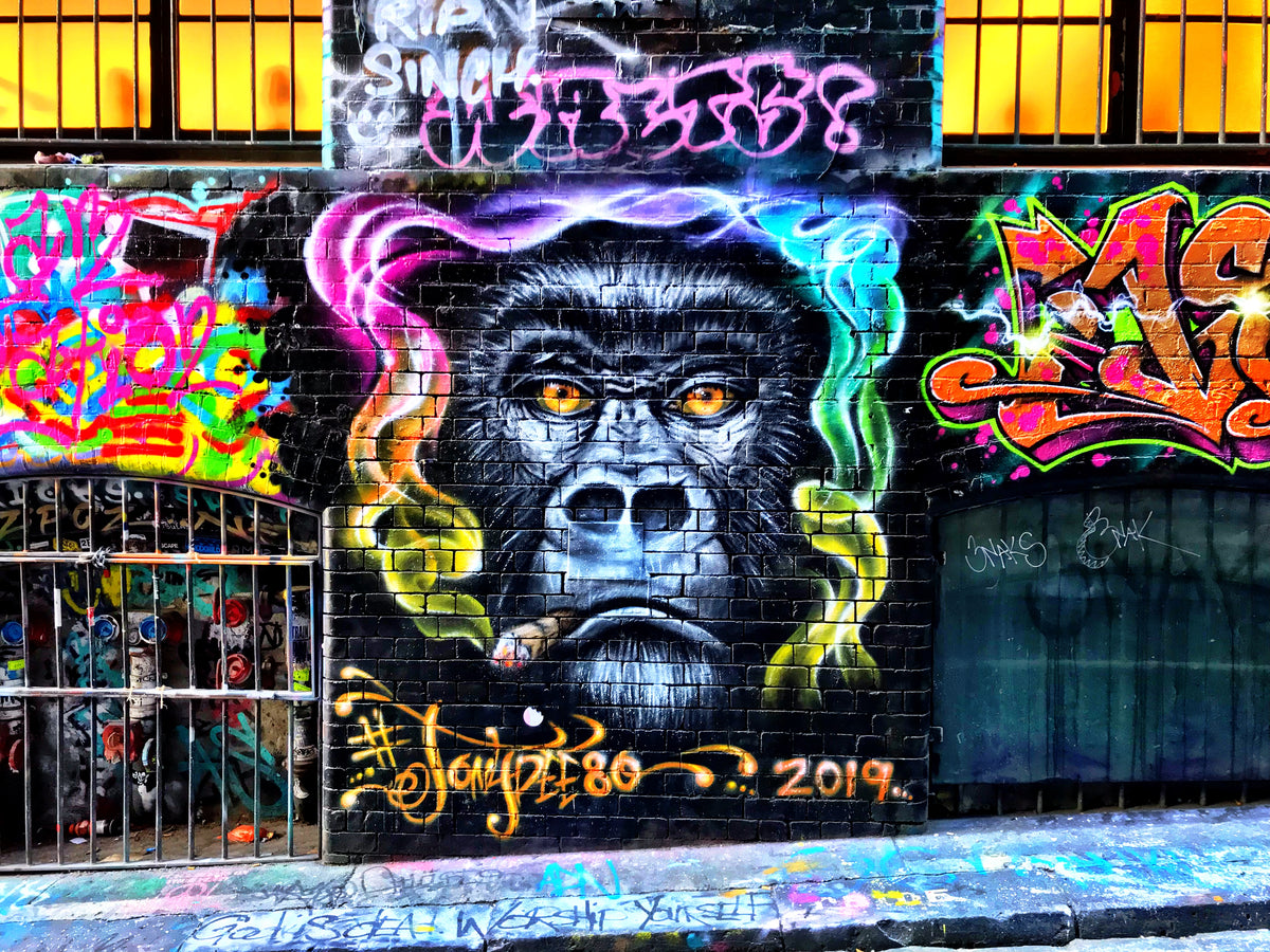 The Groovy Gorilla - Print – Melbourneiloveyou