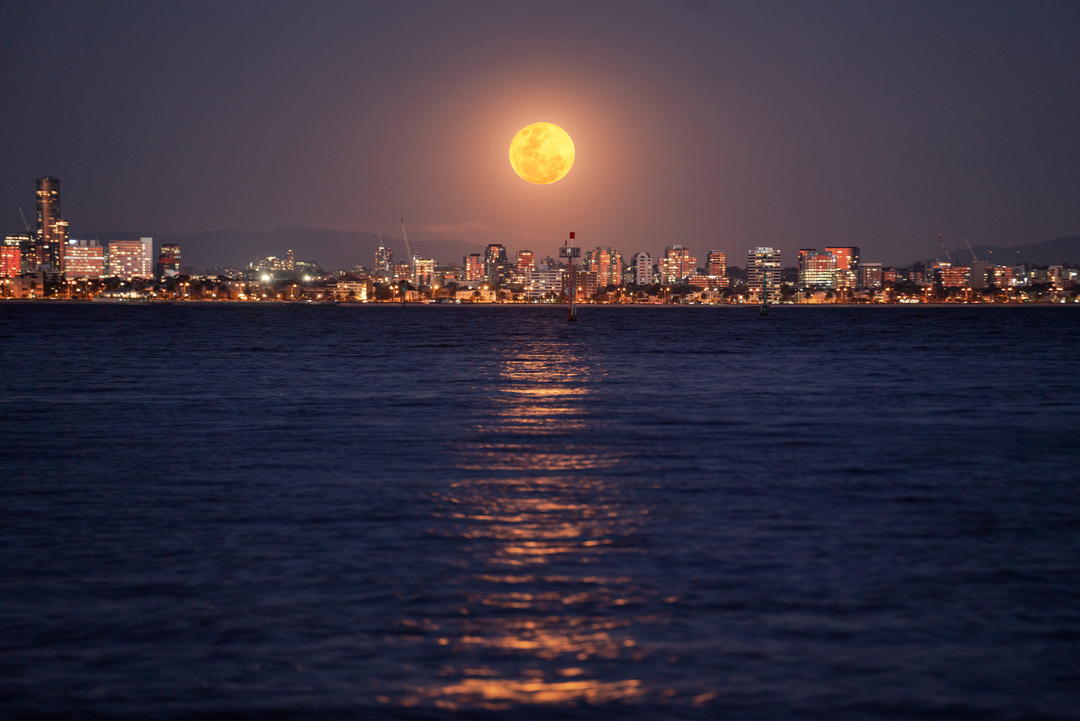 DAY 283 - THE FULL MOON - PRINT – Melbourneiloveyou